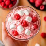 Raspberry Fluff Salad - ZYVINA